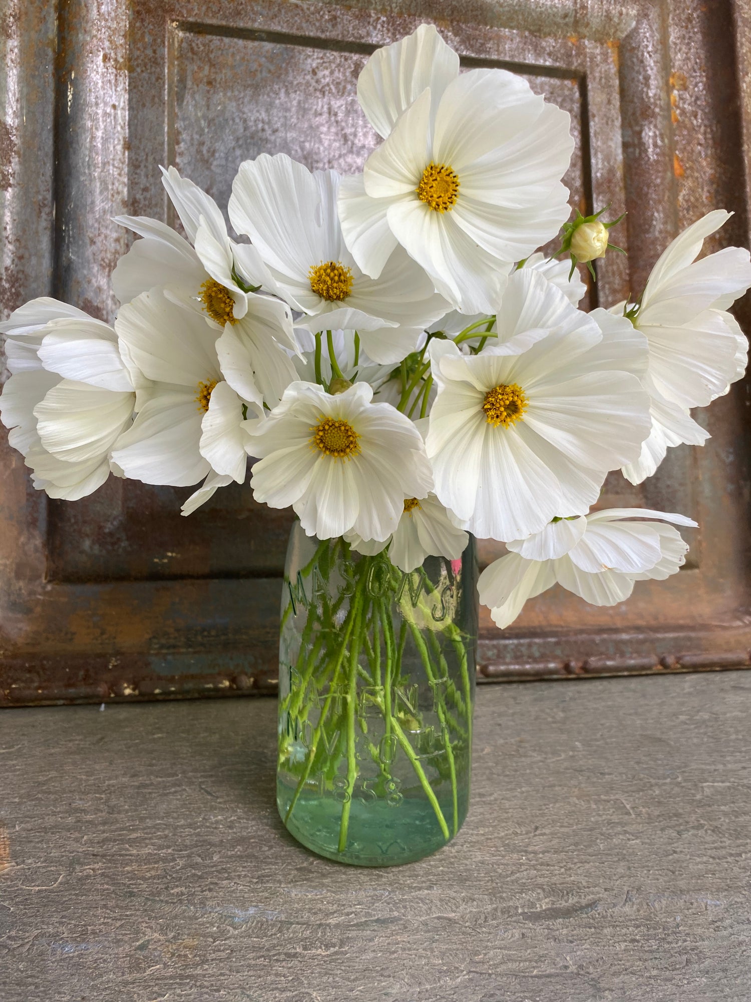 Flower Garden Collection – Mountainlily Farm