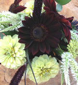 Rouge Royale Sunflower Seeds, Easy to Grow Sunflowers, Great for Polli ...