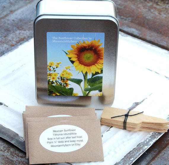Heirloom Sunflower Seed Collection, Easy to Grow Heirloom Sunflowers ...