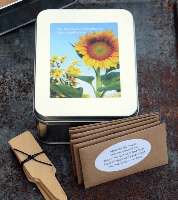 Heirloom Sunflower Seed Collection, Easy to Grow Heirloom Sunflowers ...